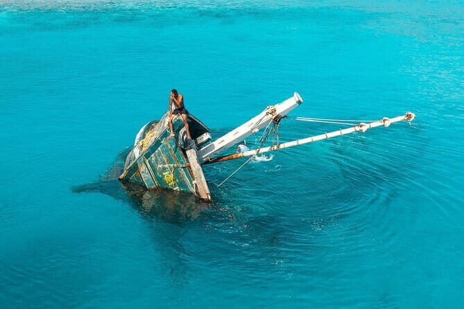 Whale Shark Maldives - Private Boat Charter for Snorkeling - Final Thoughts: Is This Tour Worth It?