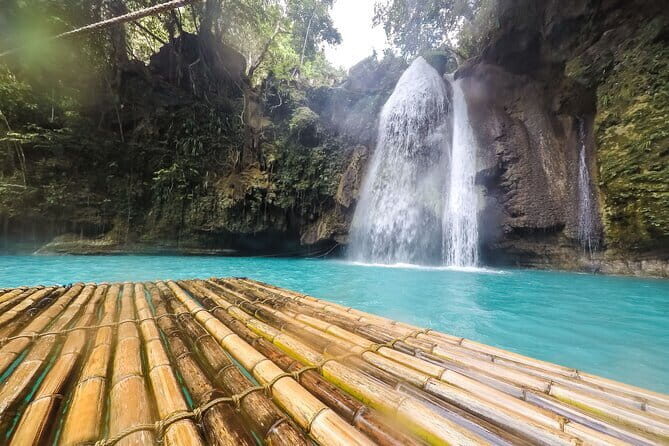 Whale Shark Snorkeling, Kawasan Falls, Sardines Run from Cebu - Reviews and Authentic Perspectives
