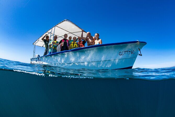 Whale Shark snorkeling tour in a reduced group with local marine biologist - Key Points