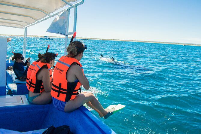 Whale Shark snorkeling tour in a reduced group with local marine biologist - Final Thoughts