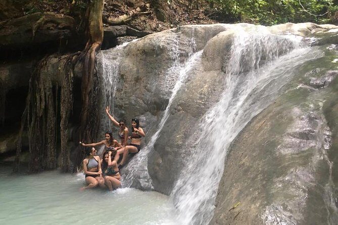 Whale Shark Swimming Experience and Aguinid Falls from Cebu - Why Consider This Tour?