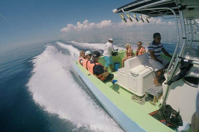 Whale Shark Tour from Cancun, Playa del Carmen, Tulum and Riviera Maya - The Group Size and Guides
