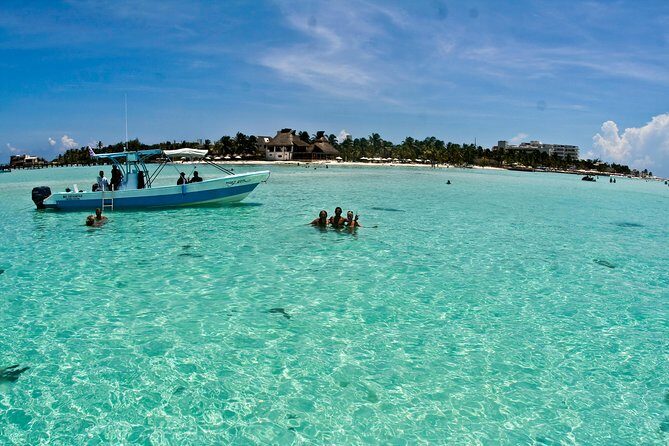 Whale Shark Tour from Cancun, Playa del Carmen, Tulum and Riviera Maya - Authentic Experiences and Real Reviews