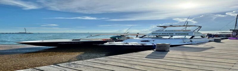 Whale Shark Tour in Cancun in Italian - Final Thoughts: Is This Tour for You?