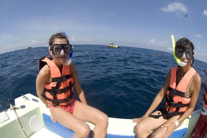 Whale Sharks Small-Group Tour in Cancun and Riviera Maya - The Reviews Speak Volumes