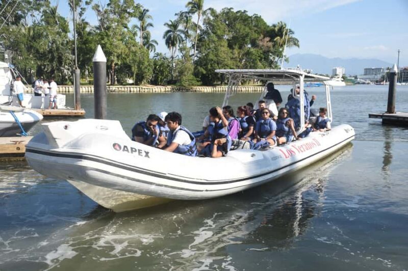 Whale Tour in Puerto Vallarta by Speedboat or Catamaran - FAQs