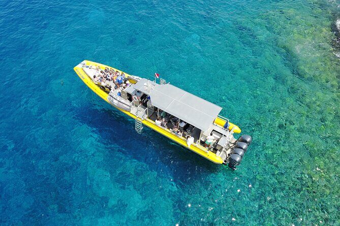 Whale Watch Adventure Aboard Maui's Only Luxury Super Raft - The Authenticity and Versatility of the Experience