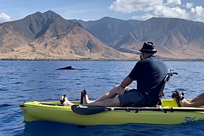 Whale Watch and Scenic Tour from Kayak - Starting Point and General Setup