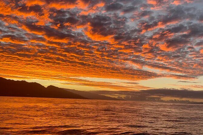 Whale Watch and Scenic Tour from Kayak - The Itinerary—Relaxed and Flexible