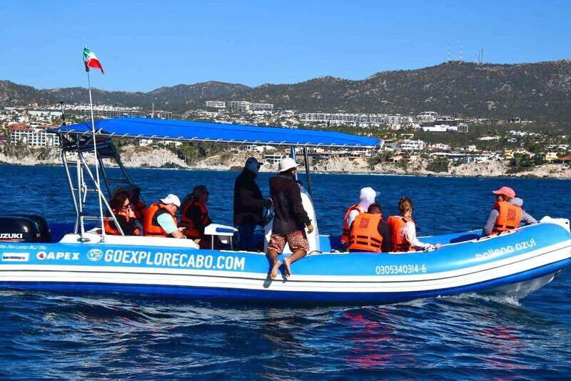 Whale Watch Cabo: Zodiac Whale Adventure - FREE Photos - Practical Details: What to Know Before You Go