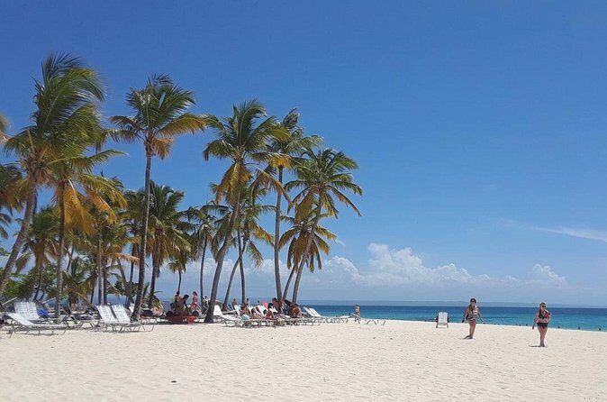 Whale Watching 2026 from Punta Cana - Full Day - Who Should Consider This Tour?