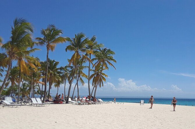 Whale Watching 2026 from Punta Cana - Full Day - FAQ