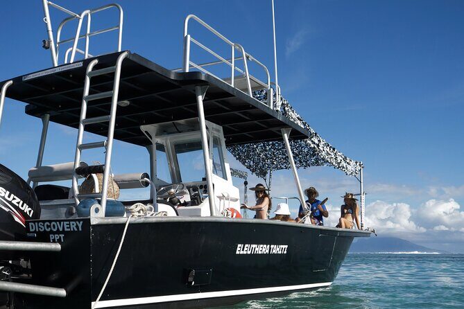Whale Watching Activity - Authenticity and Customer Feedback
