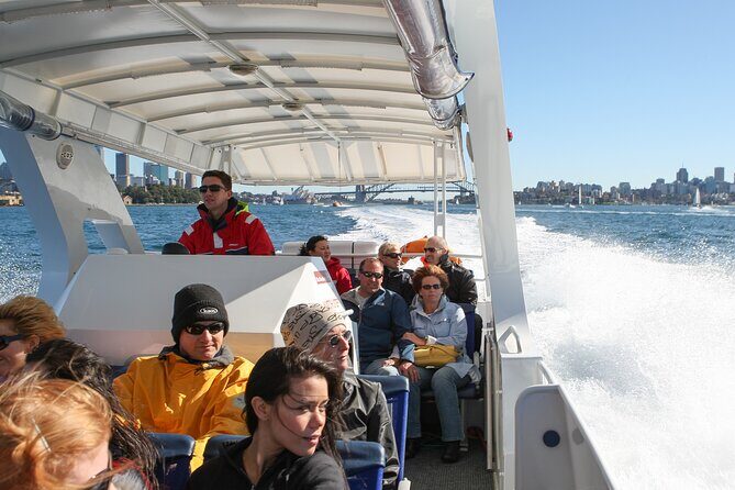 Whale Watching Adventure Cruise - An In-Depth Look at the Whale Watching Adventure Cruise