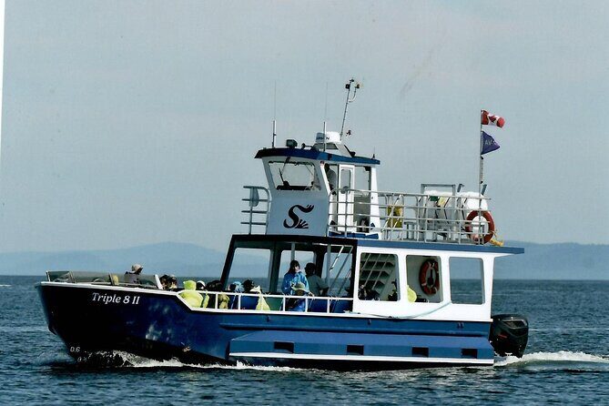 Whale Watching Adventure from Vancouver BC - The Views and Photography Opportunities