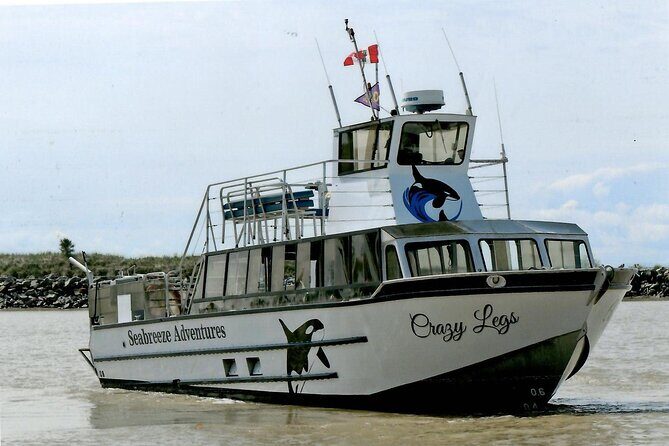 Whale Watching Adventure from Vancouver BC - FAQs