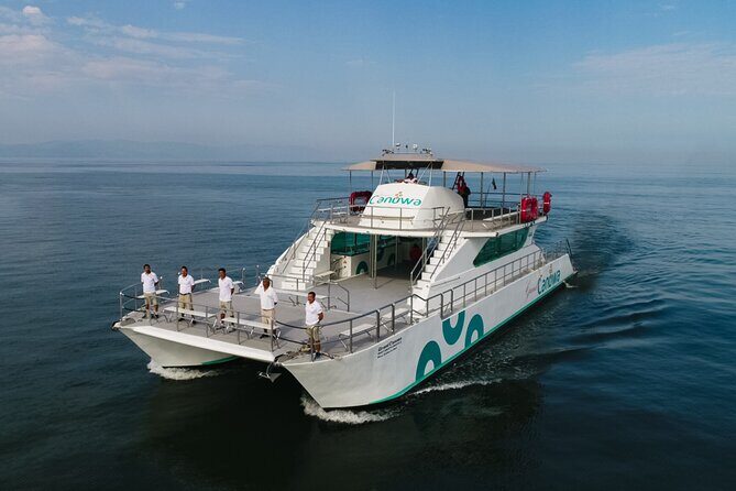 Whale Watching Adventure In Puerto Vallarta - What to Expect During the Tour