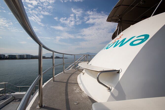 Whale Watching Adventure In Puerto Vallarta - FAQ