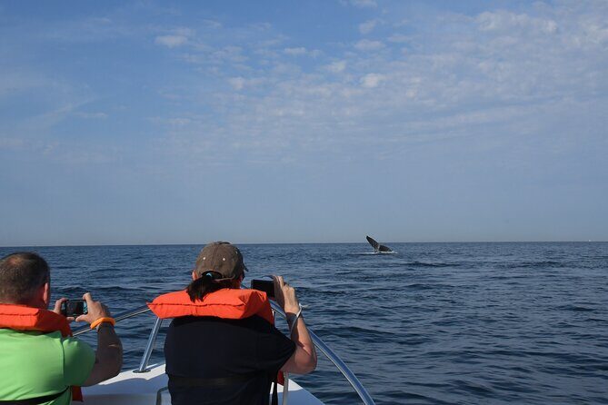 Whale Watching Adventure - leaded by marine biologist. - Who Will Love This Tour?