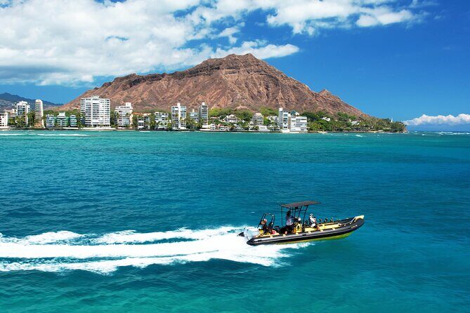 Whale Watching Adventure -Speed Boat & Small Group - What to Expect from Your Whale Watching Adventure