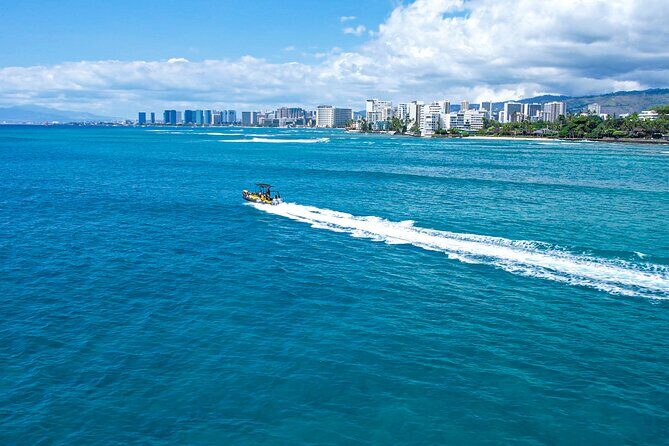 Whale Watching Adventure -Speed Boat & Small Group - FAQ