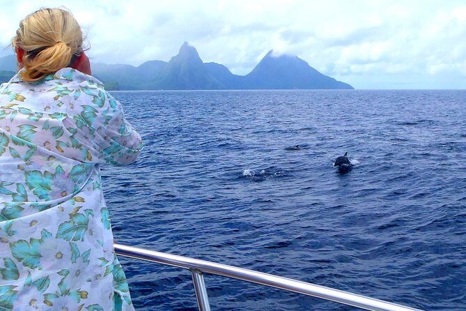 Whale Watching and Dolphin Spotting Cruise - Who Is This Tour Best For?