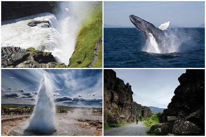 Whale Watching and Golden Circle Tour from Reykjavik - Who Should Consider This Tour?