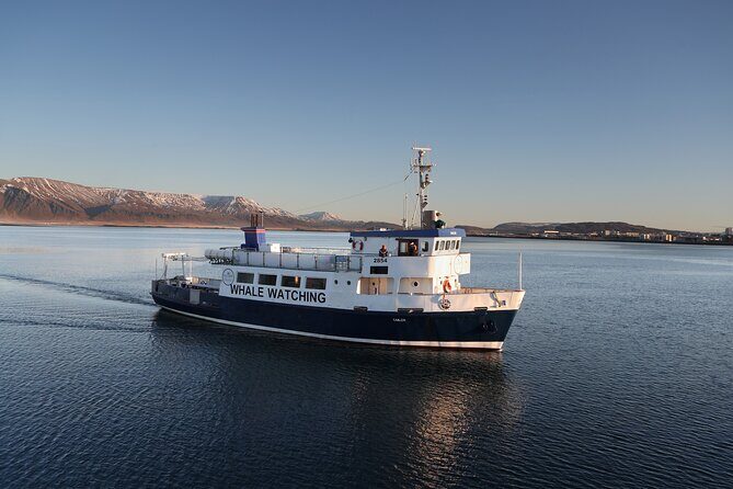 Whale Watching and Marine Life Tour in Reykjavik - The Itinerary Breakdown