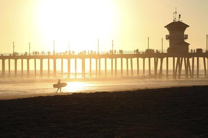 Whale-Watching and Orange County Beaches Tour from Anaheim - Key Points