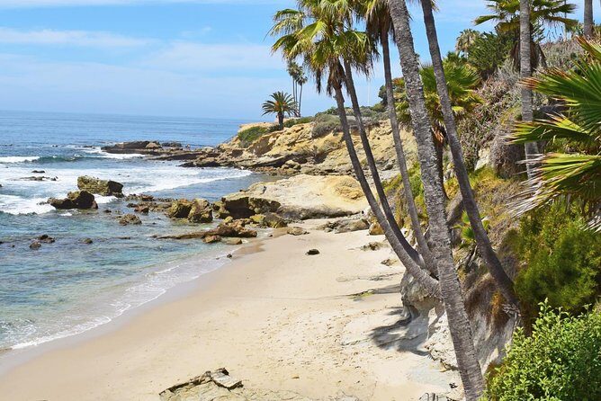 Whale-Watching and Orange County Beaches Tour from Anaheim - A Complete Breakdown of the Experience