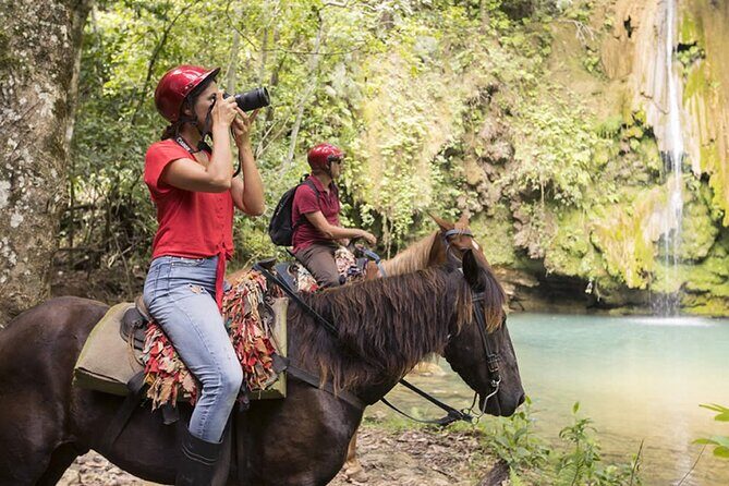 Whale Watching and Waterfalls in Samana Province - Who Should Consider This Tour?