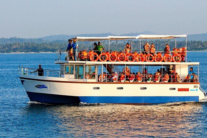 Whale Watching Boat Tour from Galle - An Authentic Look at the Whale Watching Tour from Galle