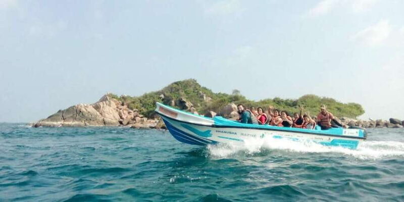 Whale Watching Boat tour in Trincomalee - An In-Depth Look at the Whale Watching Experience in Trincomalee