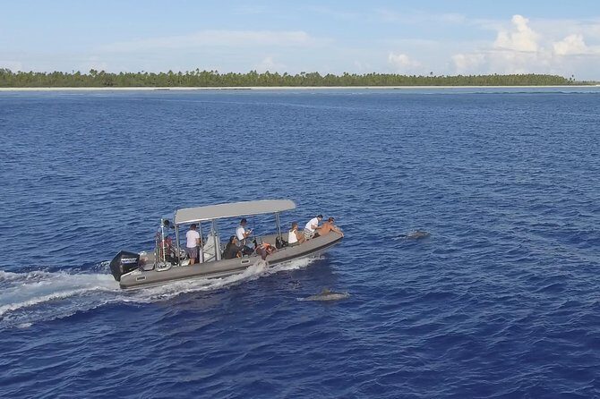 Whale Watching Bora Bora - Seasonality and Weather