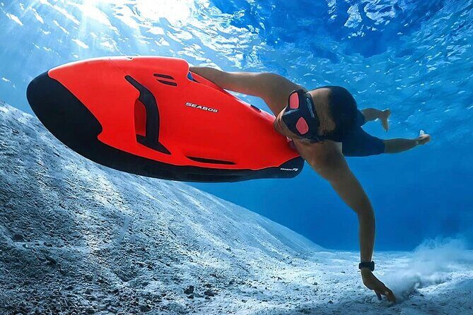 Whale Watching Bora Bora - Who Will Love This Tour?