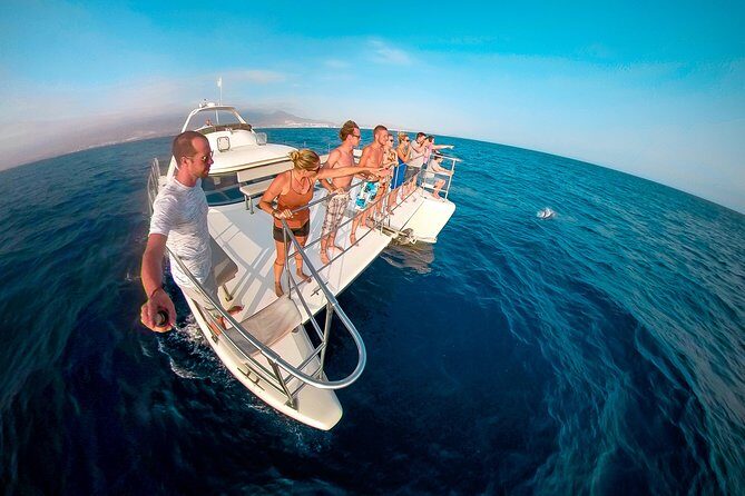 Whale Watching Catamaran Cruise with Transfer, Buffet by MC - An Authentic Look at the Whale Watching Catamaran Cruise in Tenerife