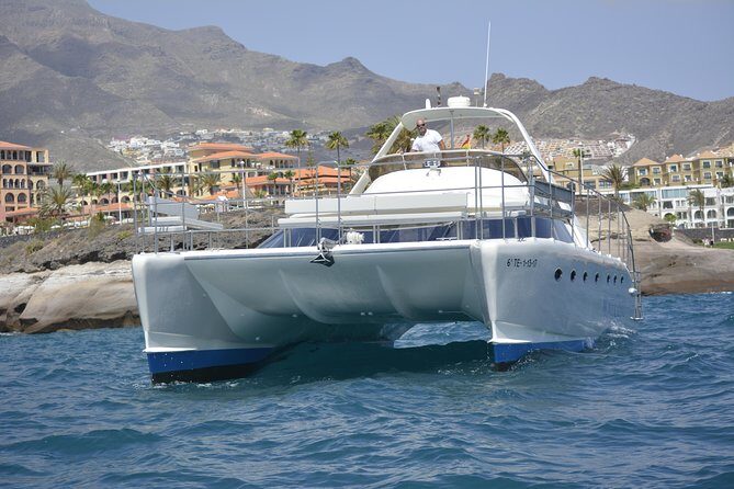 Whale Watching Catamaran Cruise with Transfer, Buffet by MC - FAQ — Practical Answers to Common Questions