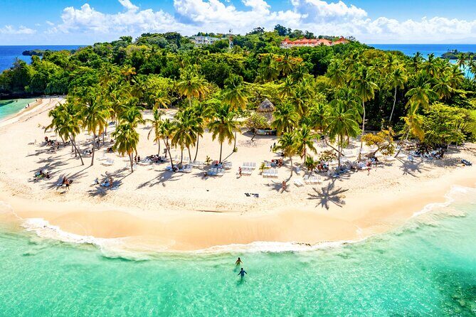 Whale Watching, Cayo Levantado and Limón Waterfall in Samaná - A Closer Look at the Tour Experience