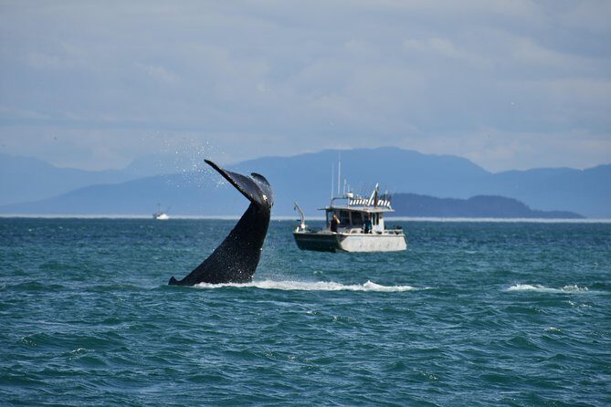 Whale Watching Charters and Bear search through Icy Strat Alaska - Key Points