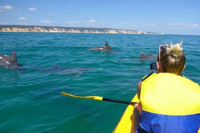 Whale Watching Cruise from Mooloolaba - Who Should Consider This Tour?