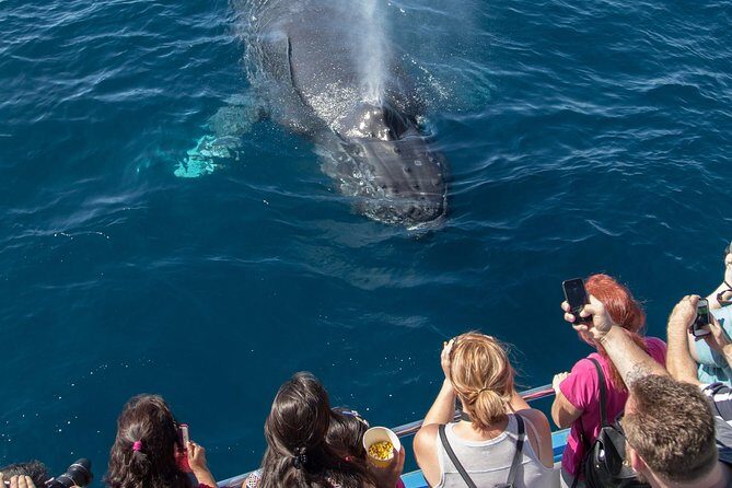 Whale-Watching Cruise from Newport Beach - Pros and Cons at a Glance