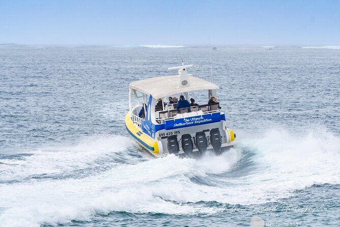 Whale Watching Cruise in New South Wales - The Sum Up