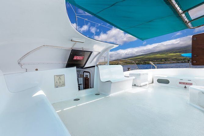 Whale Watching Cruise with Open Bar from Ka'anapali Beach - Authentic Family-Friendly Experience