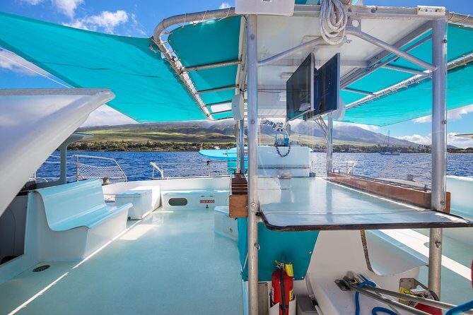 Whale Watching Cruise with Open Bar from Ka'anapali Beach - Authentic Perspectives from Other Travelers