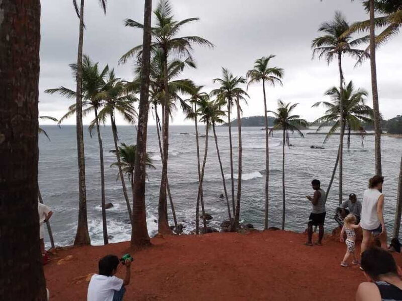 Whale Watching Day Tour to Mirissa - Final Thoughts