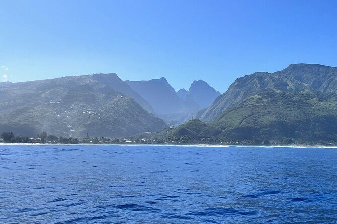 Whale watching DE Humpback West Coast of Tahiti - What to Expect from the Whale Watching Tour