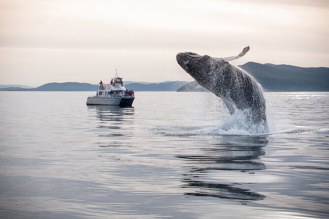 Whale Watching + Deception Pass Tour from Seattle - Why This Tour Stands Out