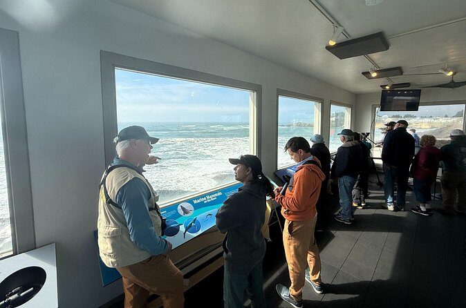 Whale Watching Depoe Bay Cannon Beach And Tillamook - The Sum Up: Is This Tour Worth It?