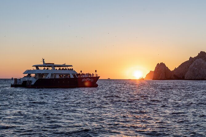 Whale Watching Dinner Cruise in Cabo San Lucas - Authentic Experiences & Authenticity
