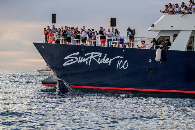 Whale Watching Dinner Cruise in Cabo San Lucas - FAQ
